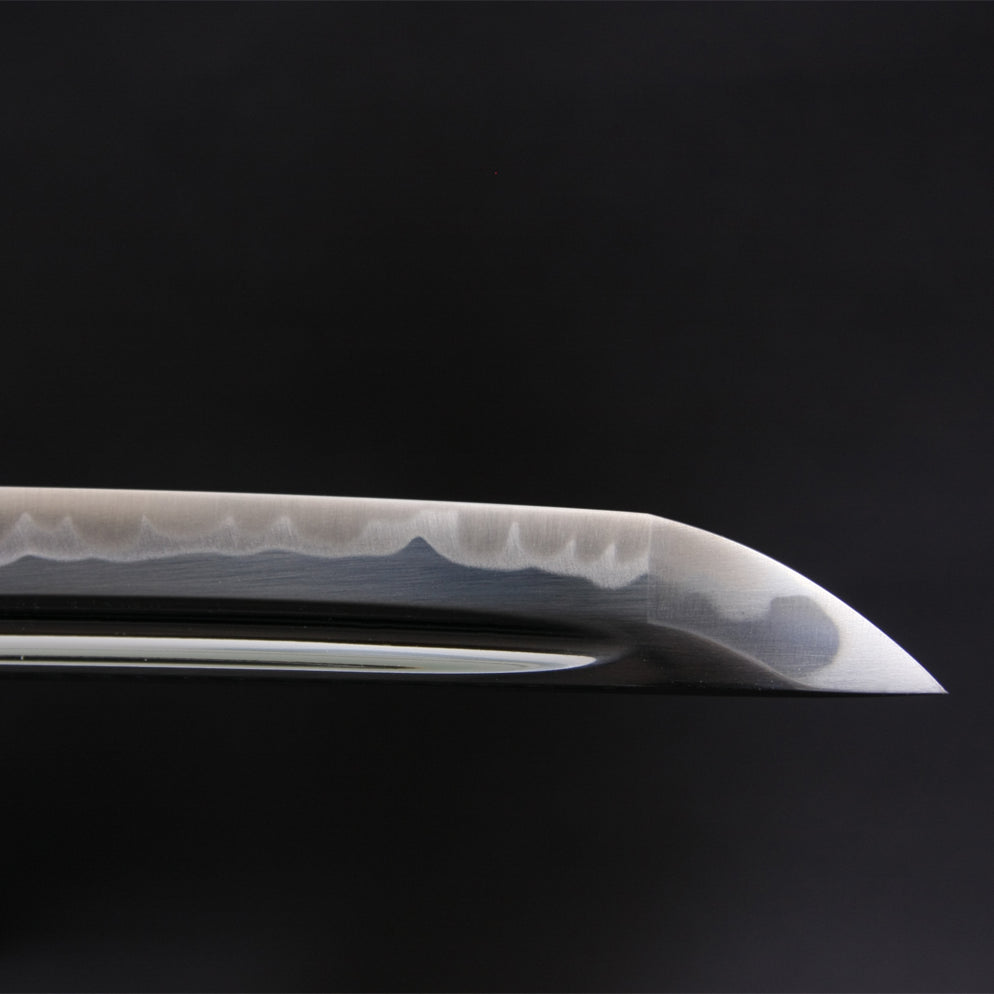 Tozando Full Custom Wakizashi - Suzaku — Tozando International
