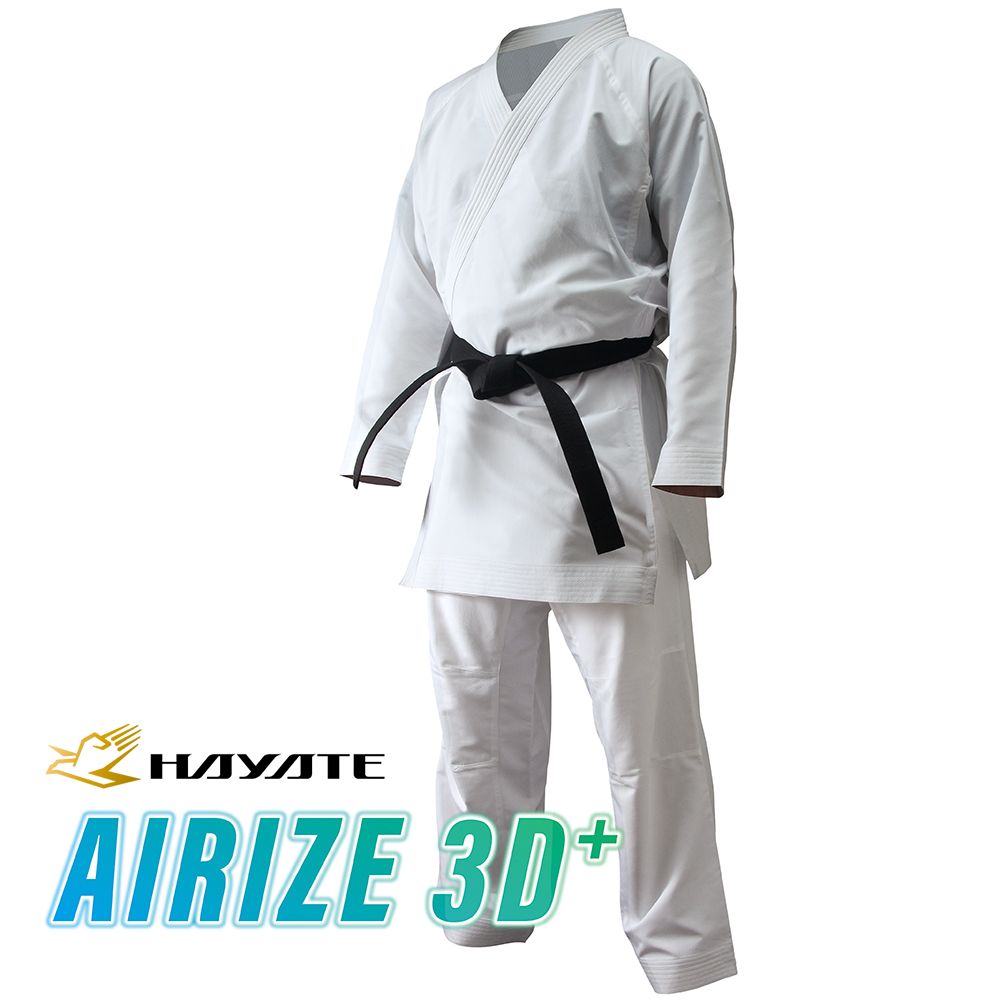 Hayate Airize 3D+ — Tozando International