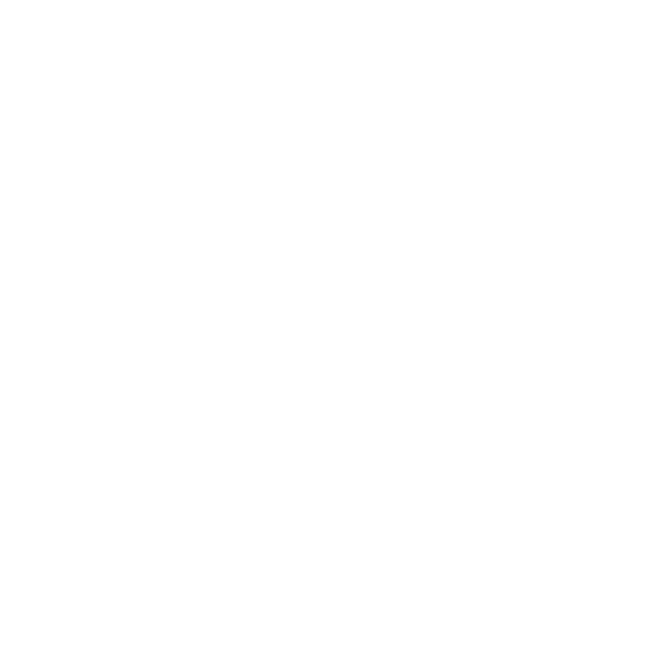 Shinsakuto - A New Made-to-order Katana — Tozando International
